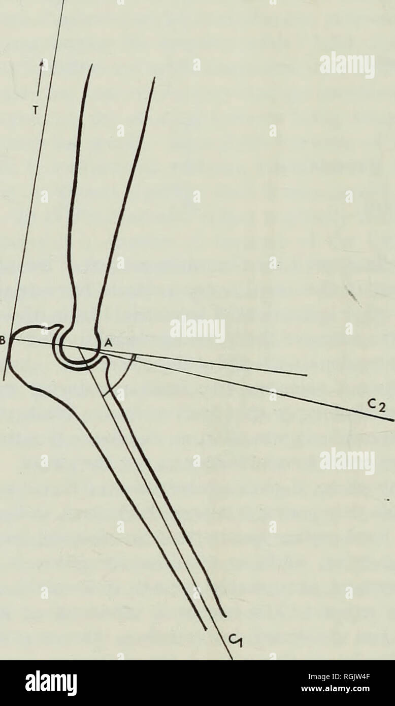 Robusticity hi-res stock photography and images - Alamy