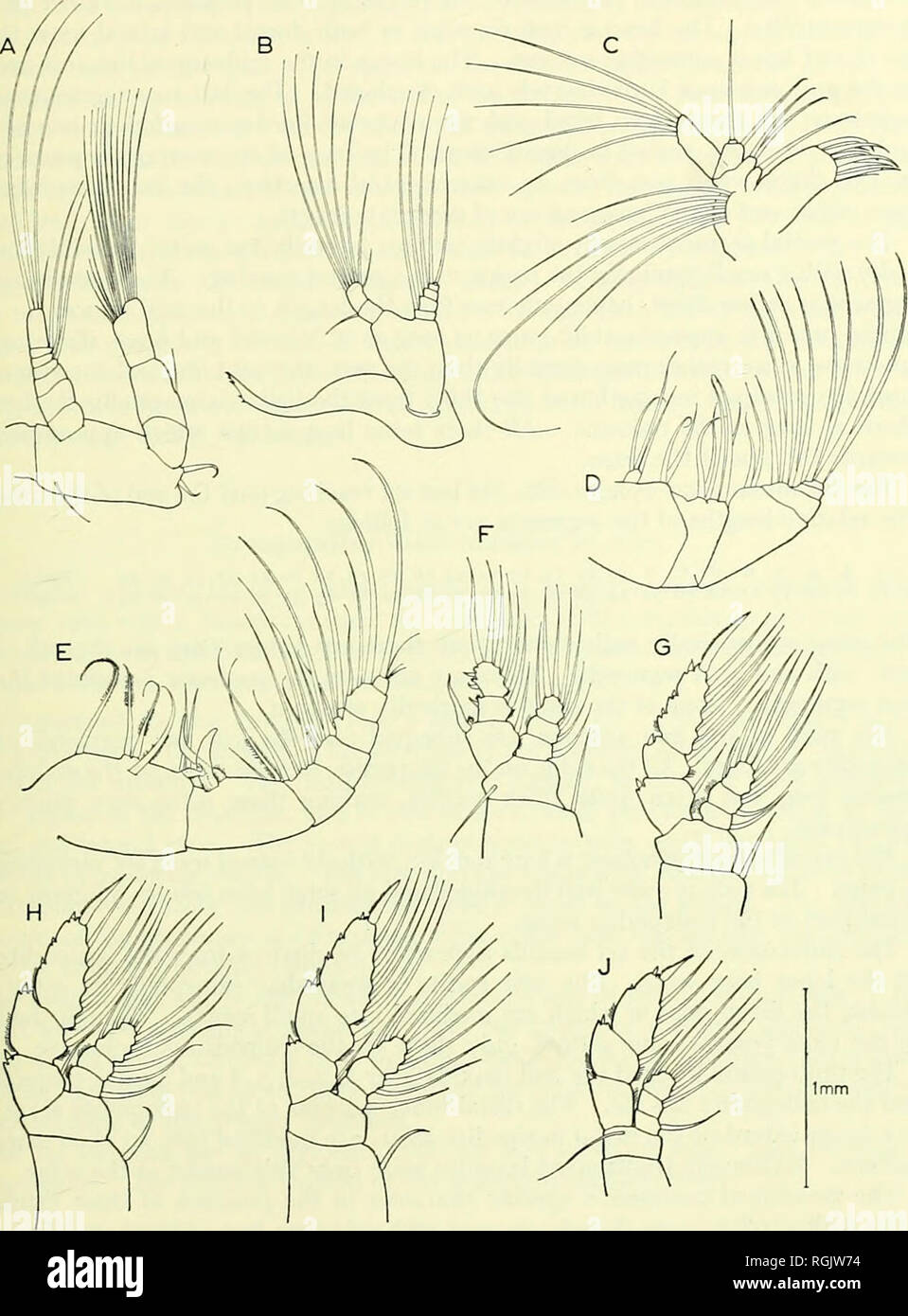 2nd bm hi-res stock photography and images - Alamy