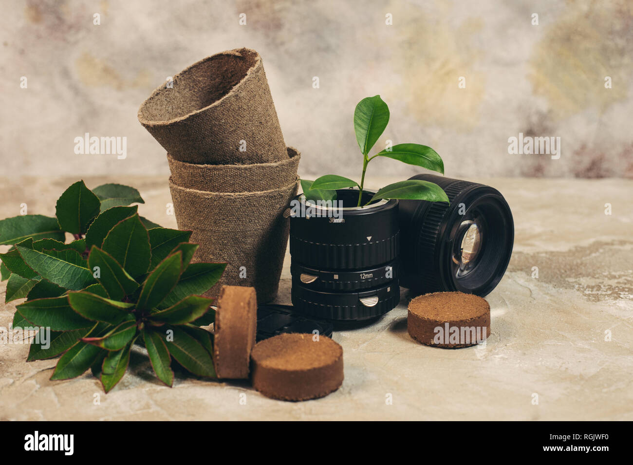 Growing green plants in used old photo camera lens and reuse recycle ...