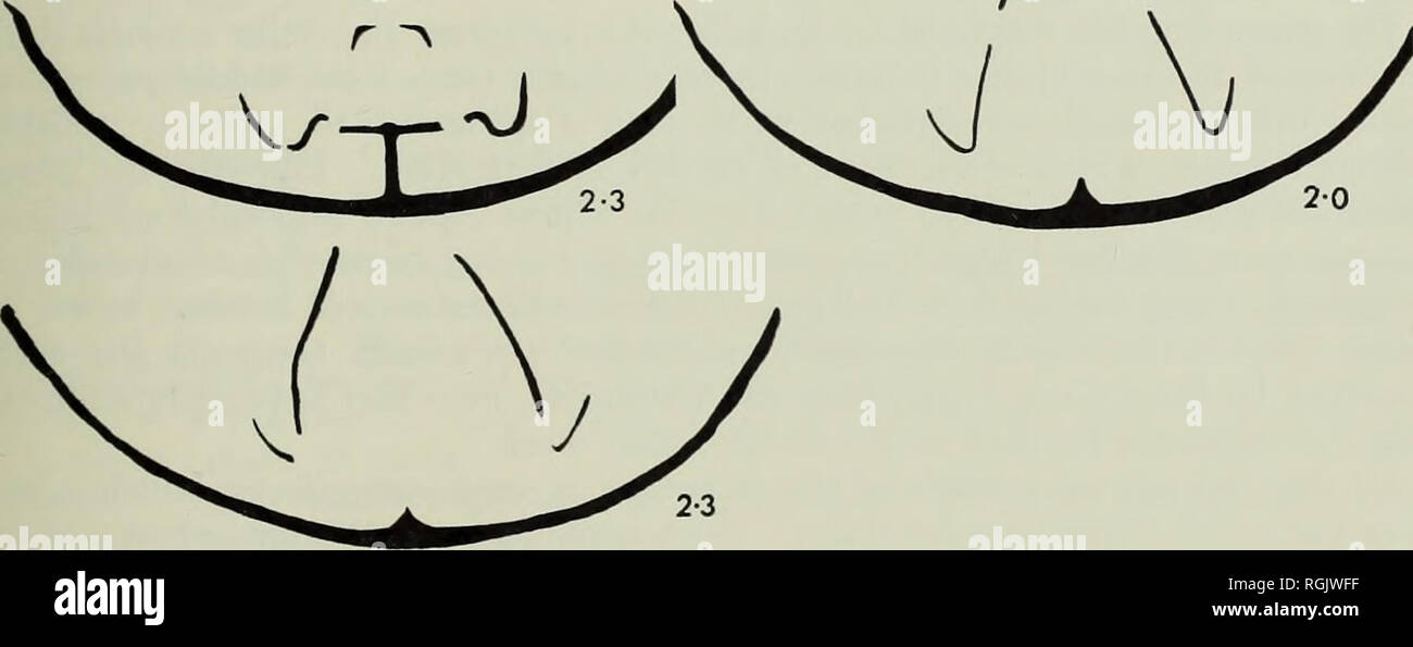 . Bulletin of the British Museum (Natural History), Geology. r^. Fig ...