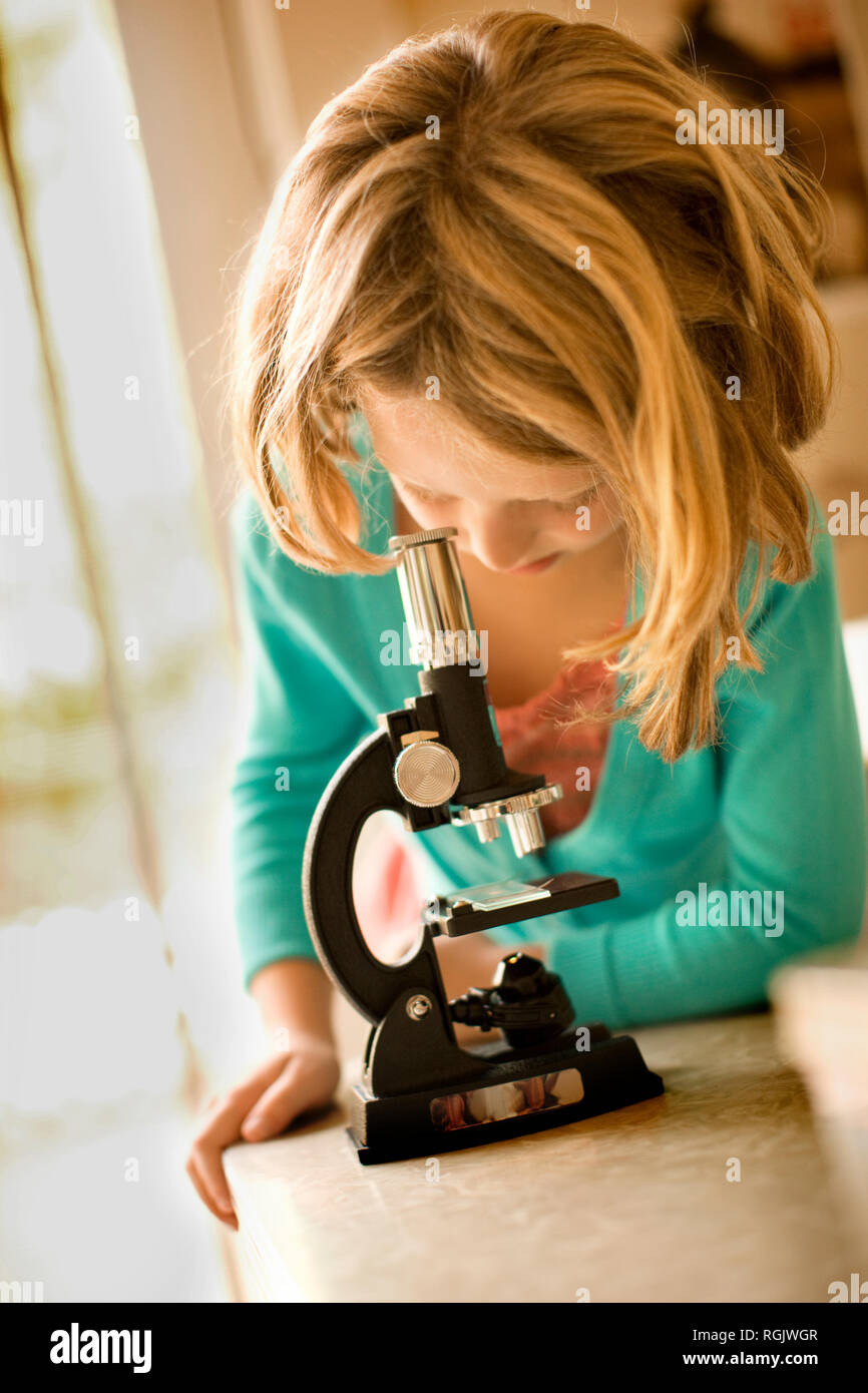 Microscope picture hi-res stock photography and images - Alamy