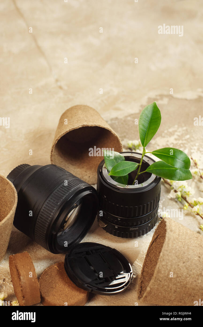 Growing green plants in used old photo camera lens and reuse recycle ...