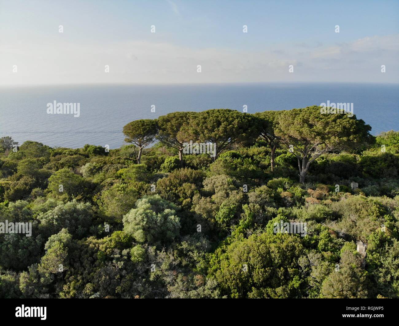 Earth ocean hi-res stock photography and images - Alamy