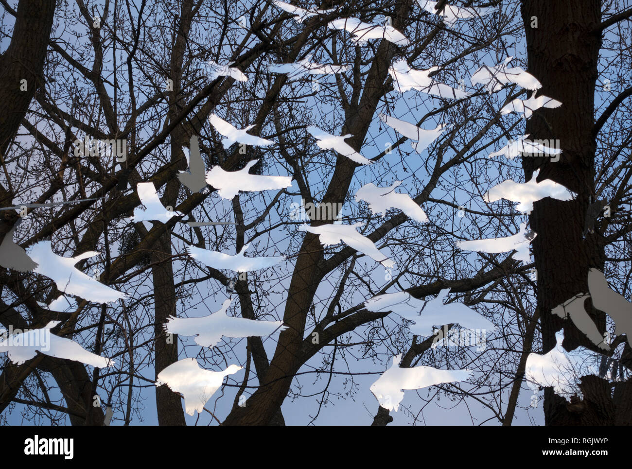 Flying birds art sculpture hanging in trees at Riverside Park ...