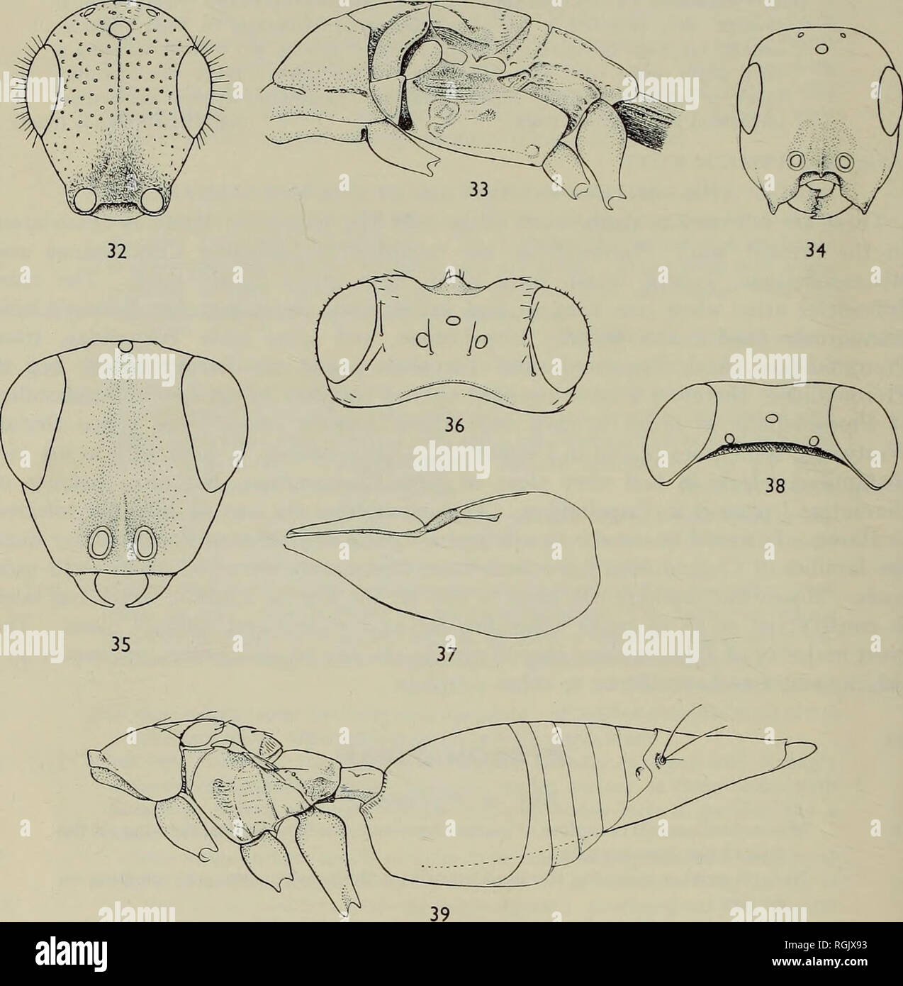 . Bulletin of the British Museum (Natural History) Entom Supp. 24 M. W ...