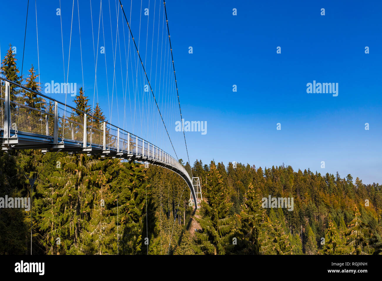 Germany, Baden-Wuerttemberg, Black Forest, Bad Wildbad, Sommerberg ...
