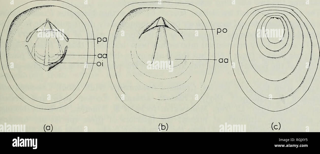 . Bulletin of the British Museum (Natural History), Geology. CARADOCIAN ...