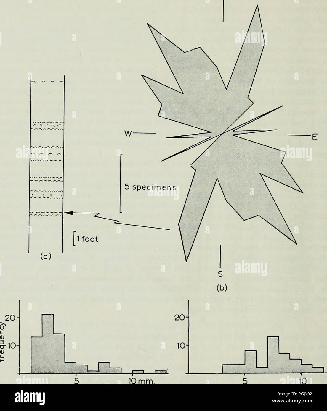 Geological_timescale hi-res stock photography and images - Alamy