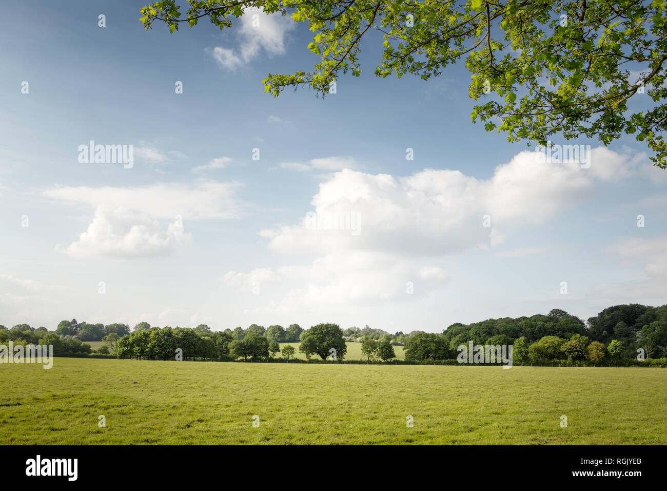 beautiful landscape image of Constable Country in england Stock Photo ...