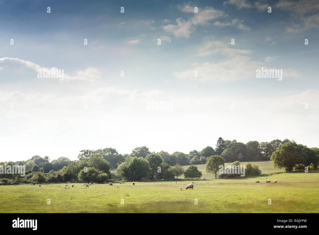 beautiful landscape image of Constable Country in england Stock Photo ...