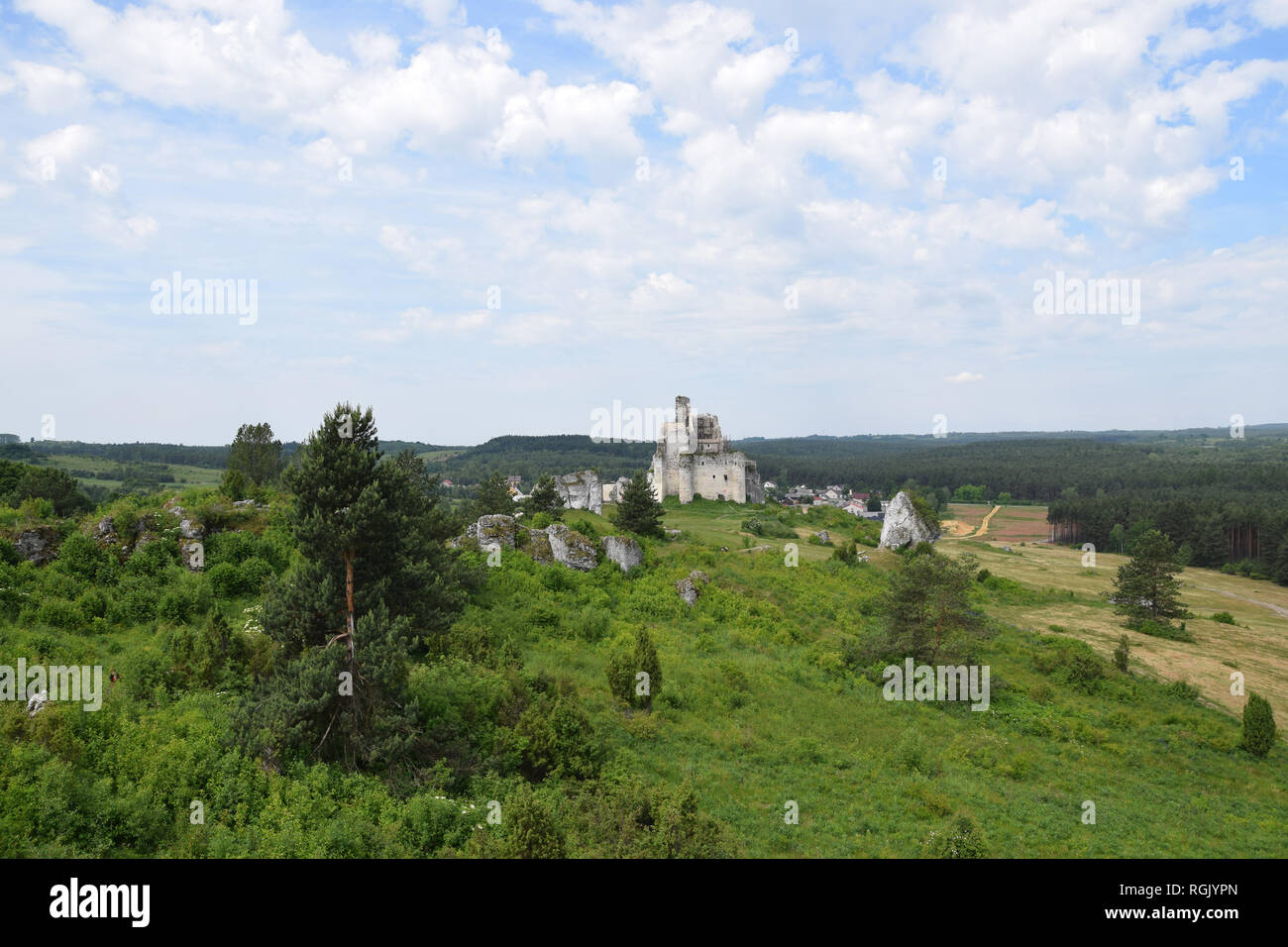 Ruins of medieval king castle Mirow in Poland Stock Photo - Alamy