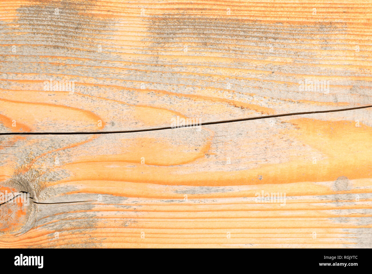 Close-up view of tree rings. Wooden texture background Stock Photo - Alamy