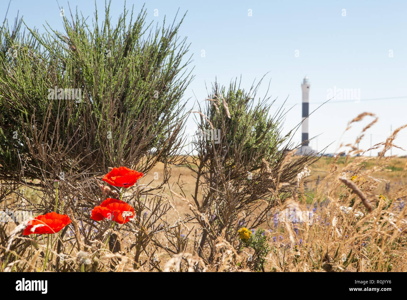 landscape image along the dungeness romney marsh coastline Stock Photo ...