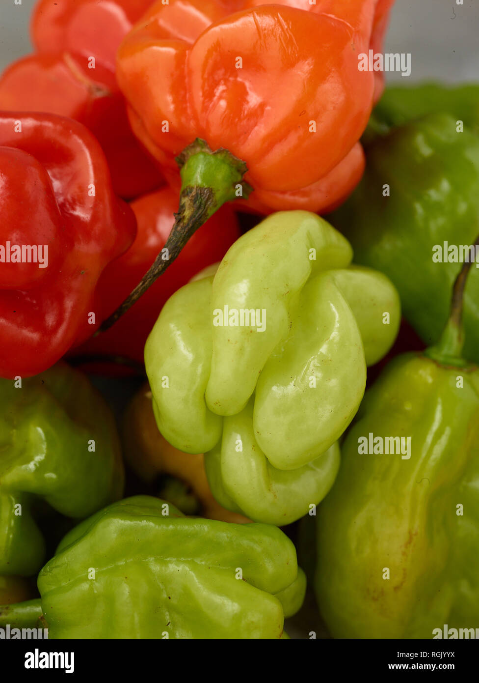 Scotch Bonnet peppers food still-life photograph Stock Photo - Alamy