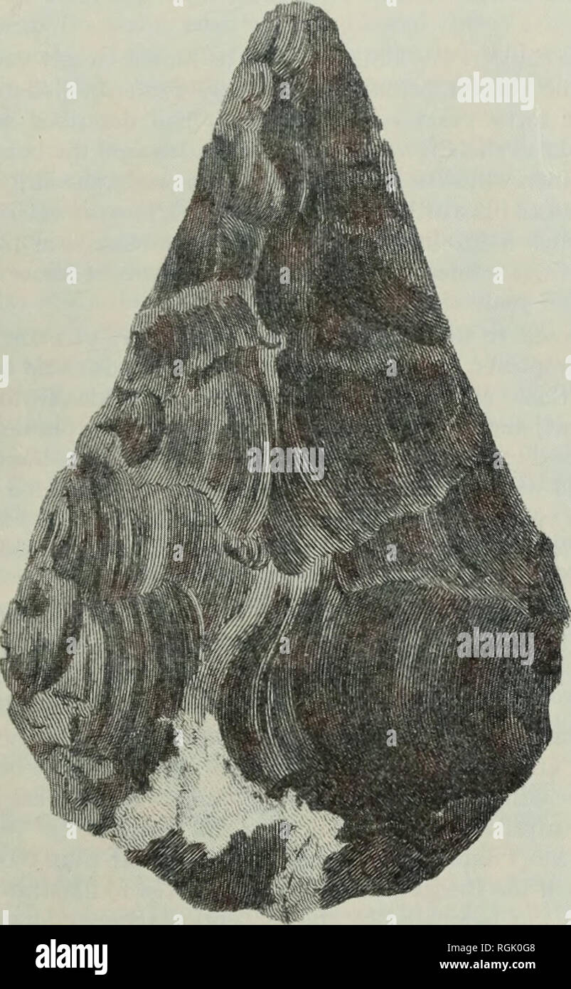 Pre adamite hi-res stock photography and images - Alamy