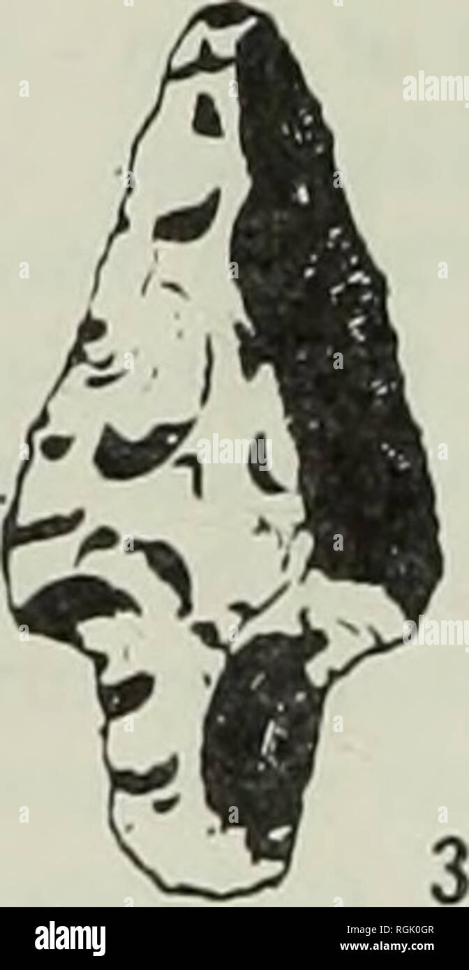 Neolithic man war hi-res stock photography and images - Alamy