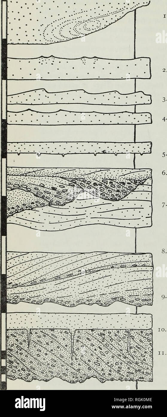 . Bulletin of the British Museum (Natural History), Geology ...