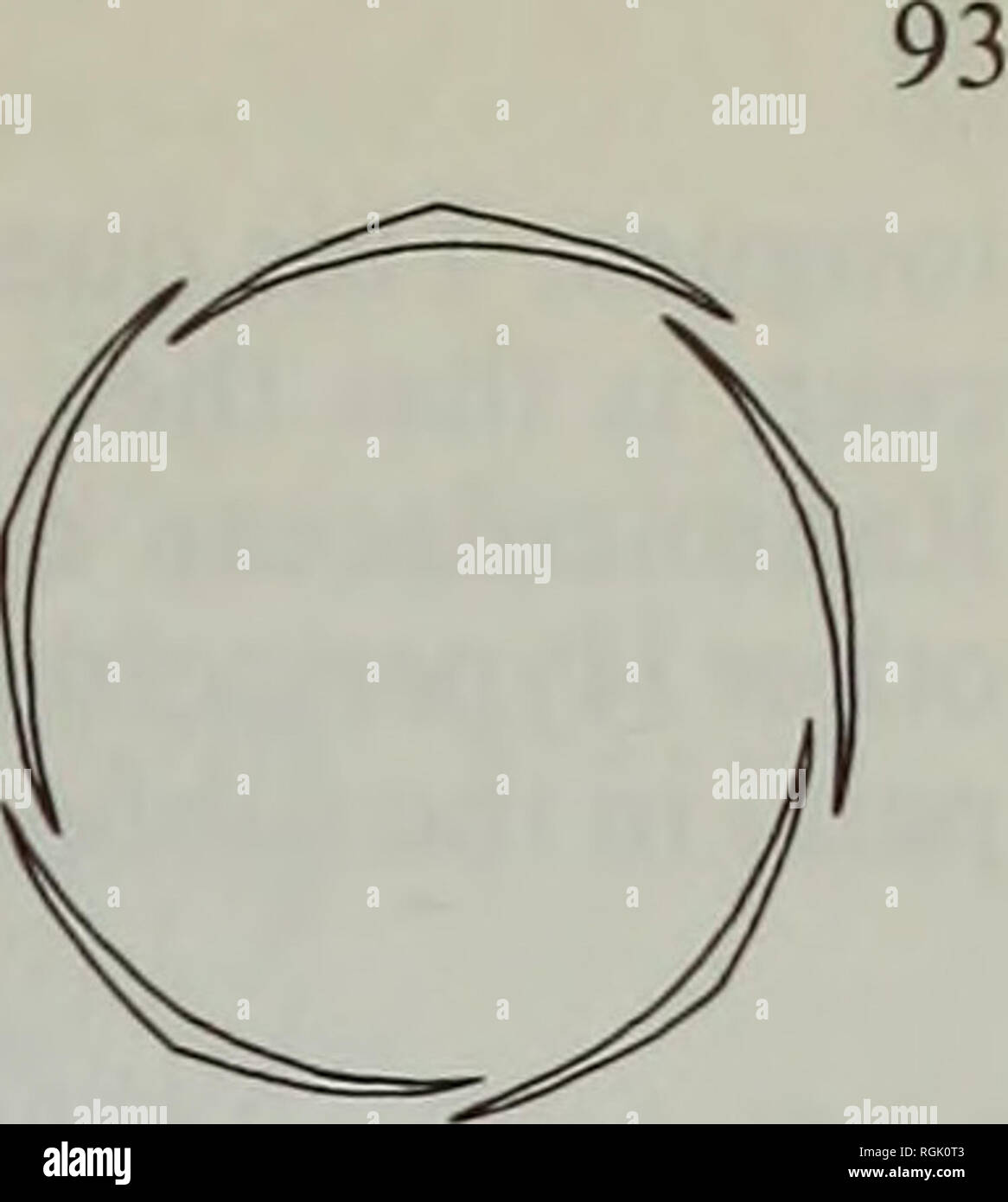 Quincuncial High Resolution Stock Photography and Images - Alamy