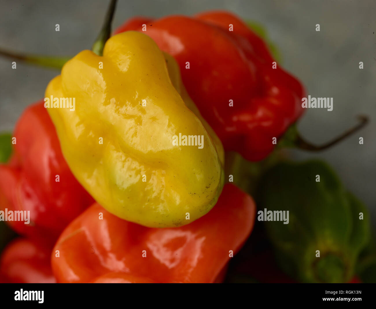 Scotch Bonnet peppers food still-life photograph Stock Photo - Alamy
