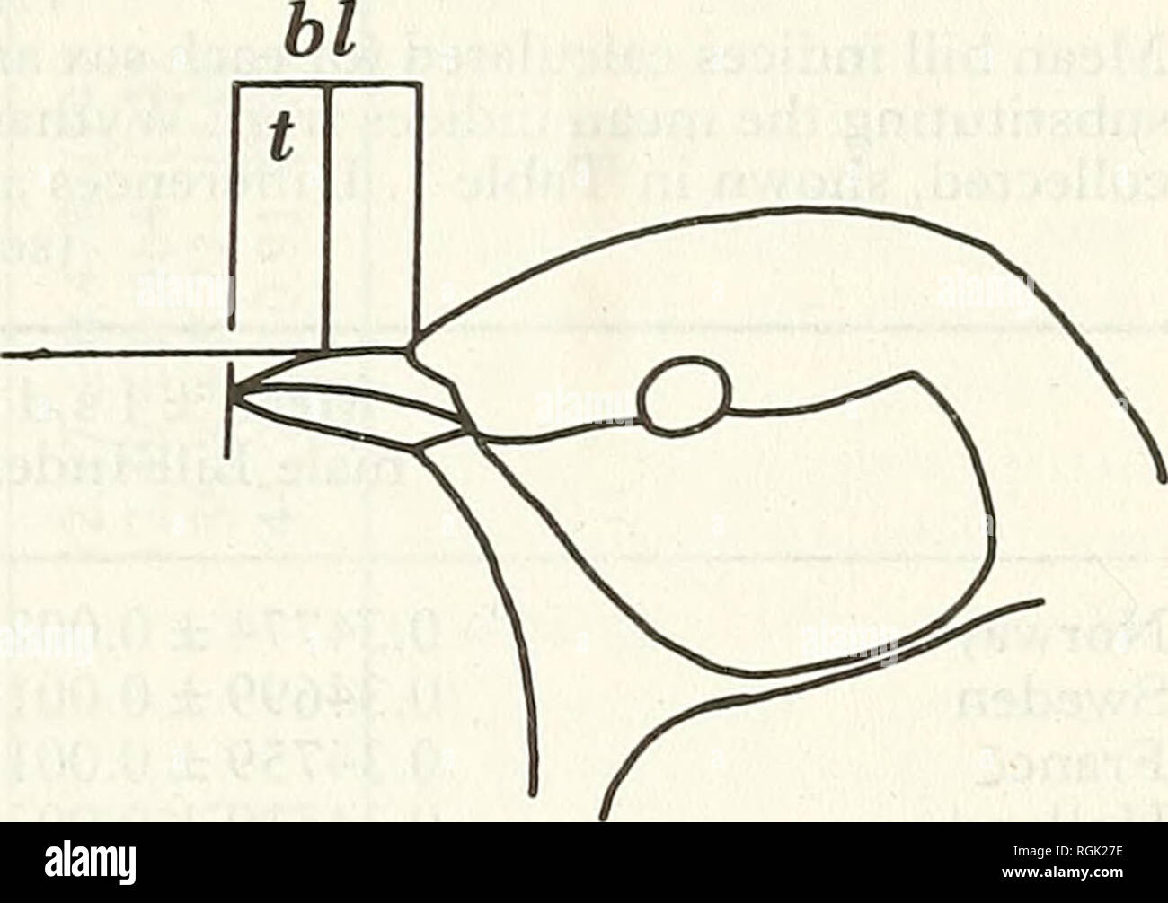 . Bulletin of the British Ornithologists' Club. Birds. 51 Bull. B.O.C ...