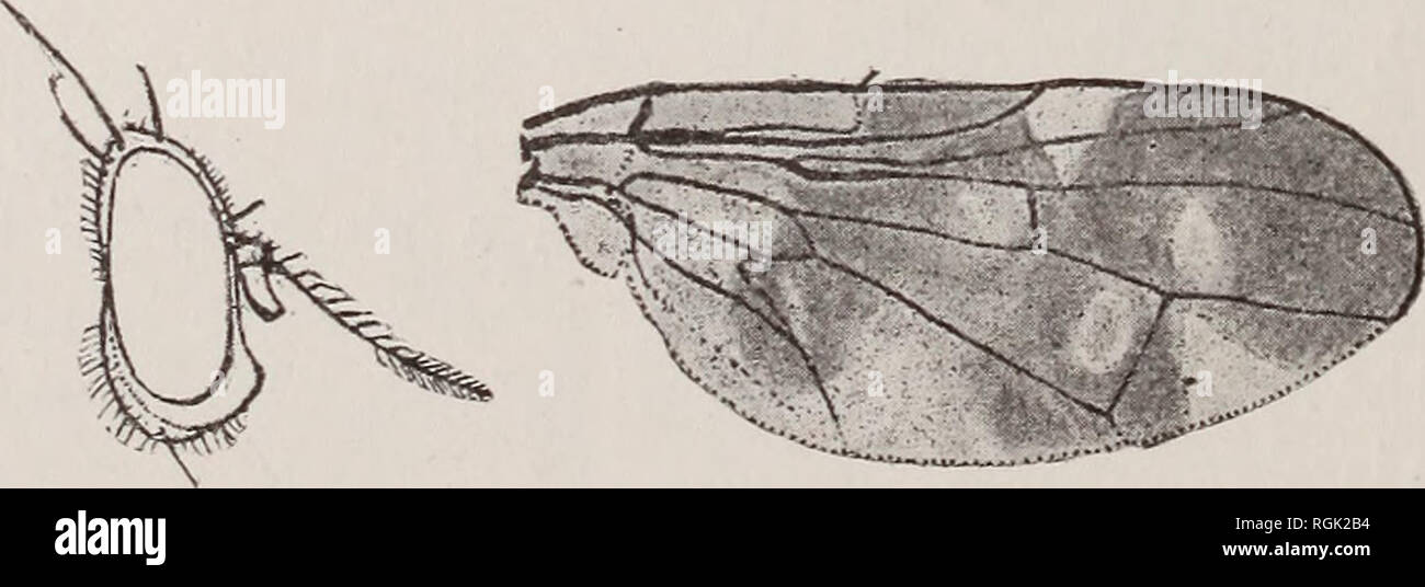 P orbitals hi-res stock photography and images - Alamy
