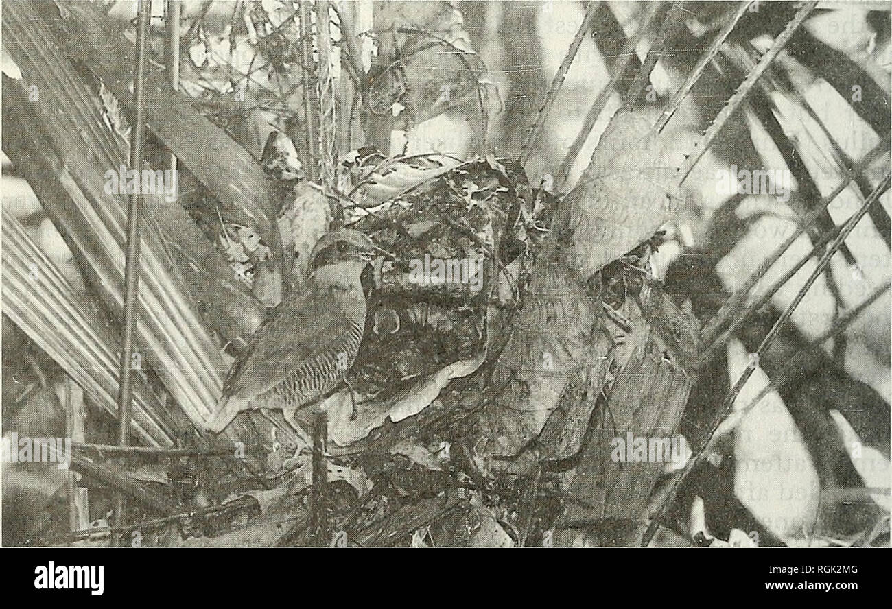 Prostrated figure hi-res stock photography and images - Alamy