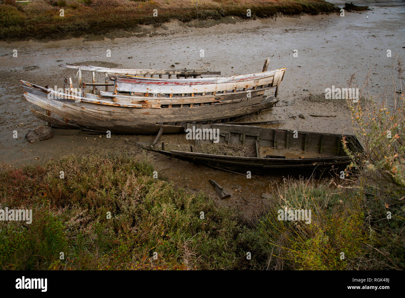 abandoned decrepit boat in the river swamp Stock Photo - Alamy