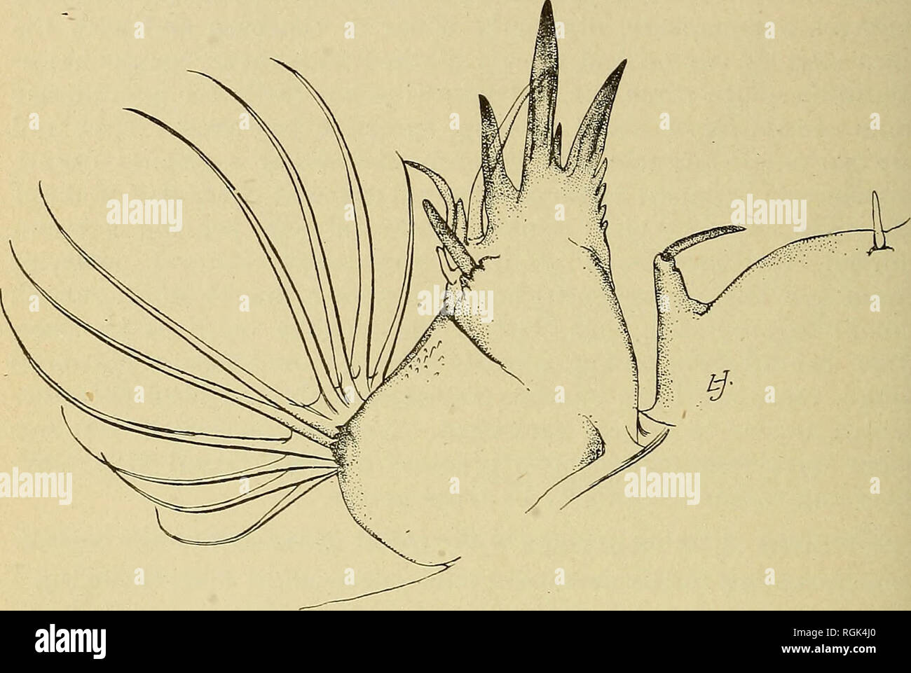 Buff veins hi-res stock photography and images - Alamy