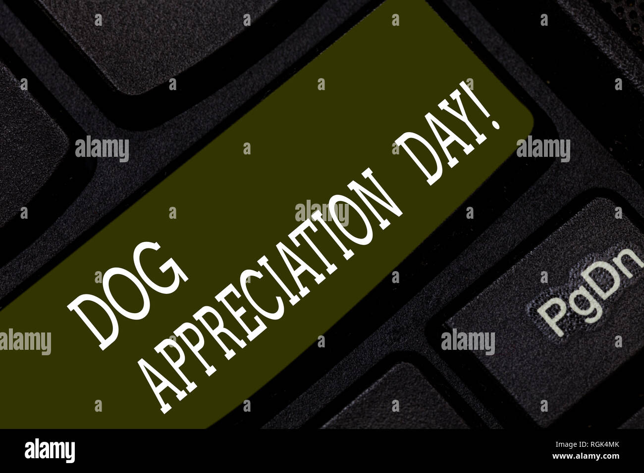 Writing note showing Dog Appreciation Day. Business photo showcasing a ...