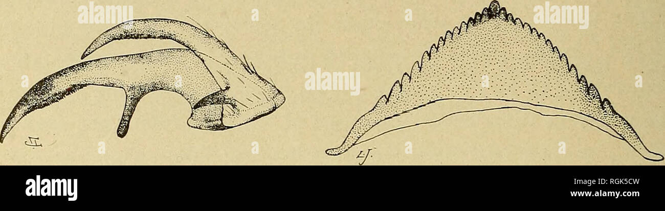 . Bulletin - New York State Museum. Science. 310 NEW YORK STATE MUSEUM ...