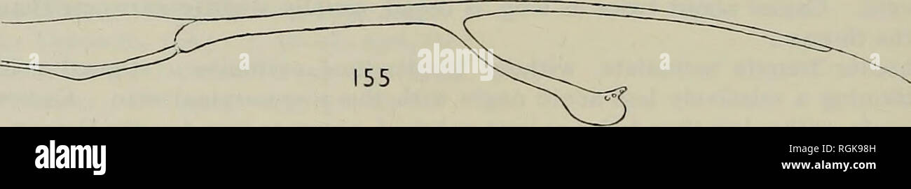 Breve note hi-res stock photography and images - Alamy