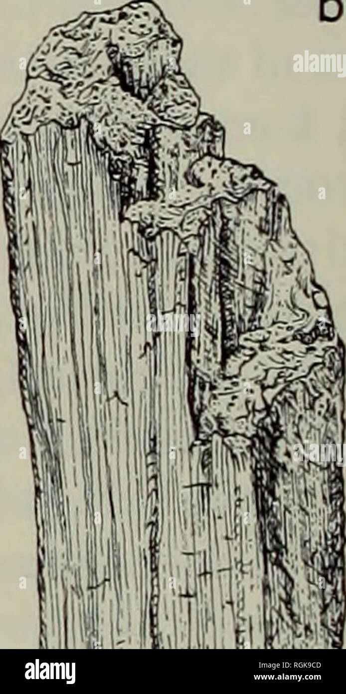 Mica cleavage hi-res stock photography and images - Alamy