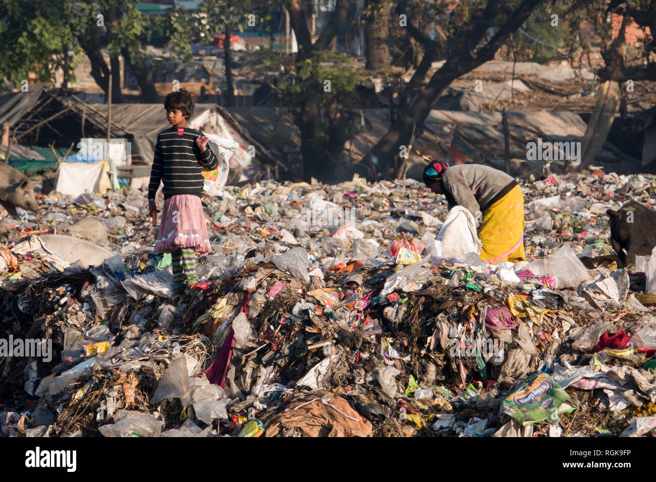 Poor rummaging in the garbage hi-res stock photography and images - Alamy