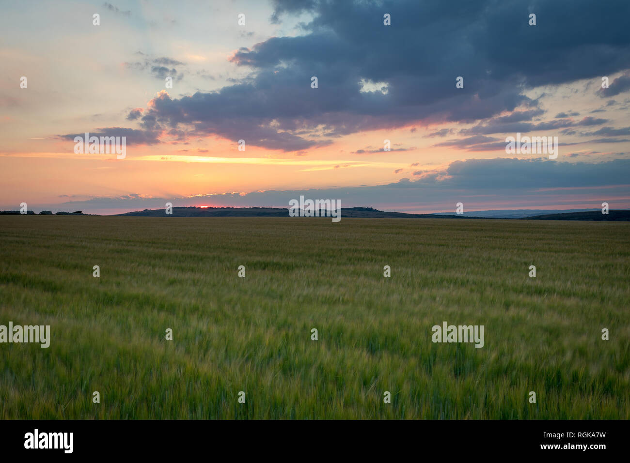 Sunset over country field of wheat crops Stock Photo - Alamy