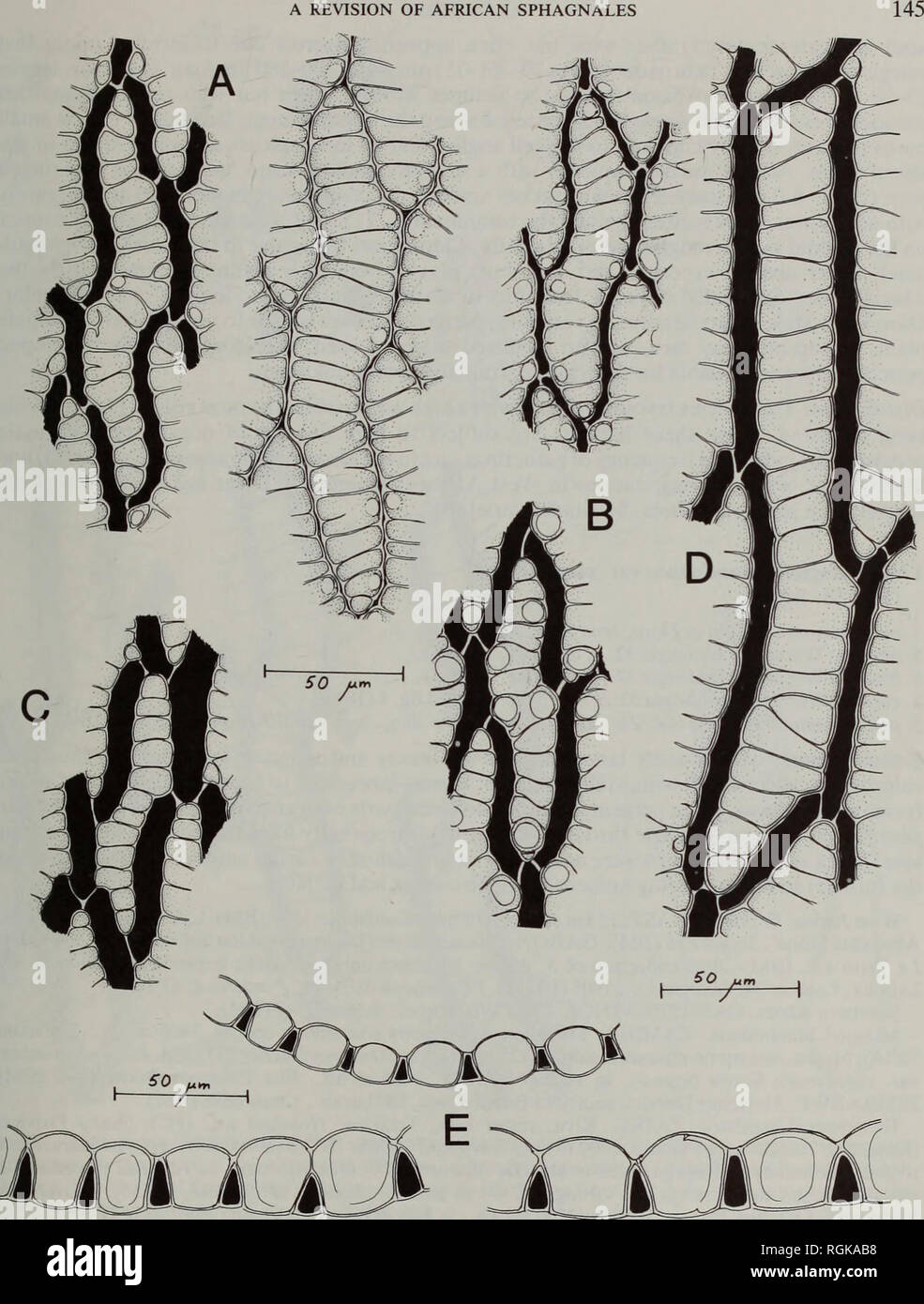 . Bulletin of the British Museum (Natural History) Botany. A REVISION ...