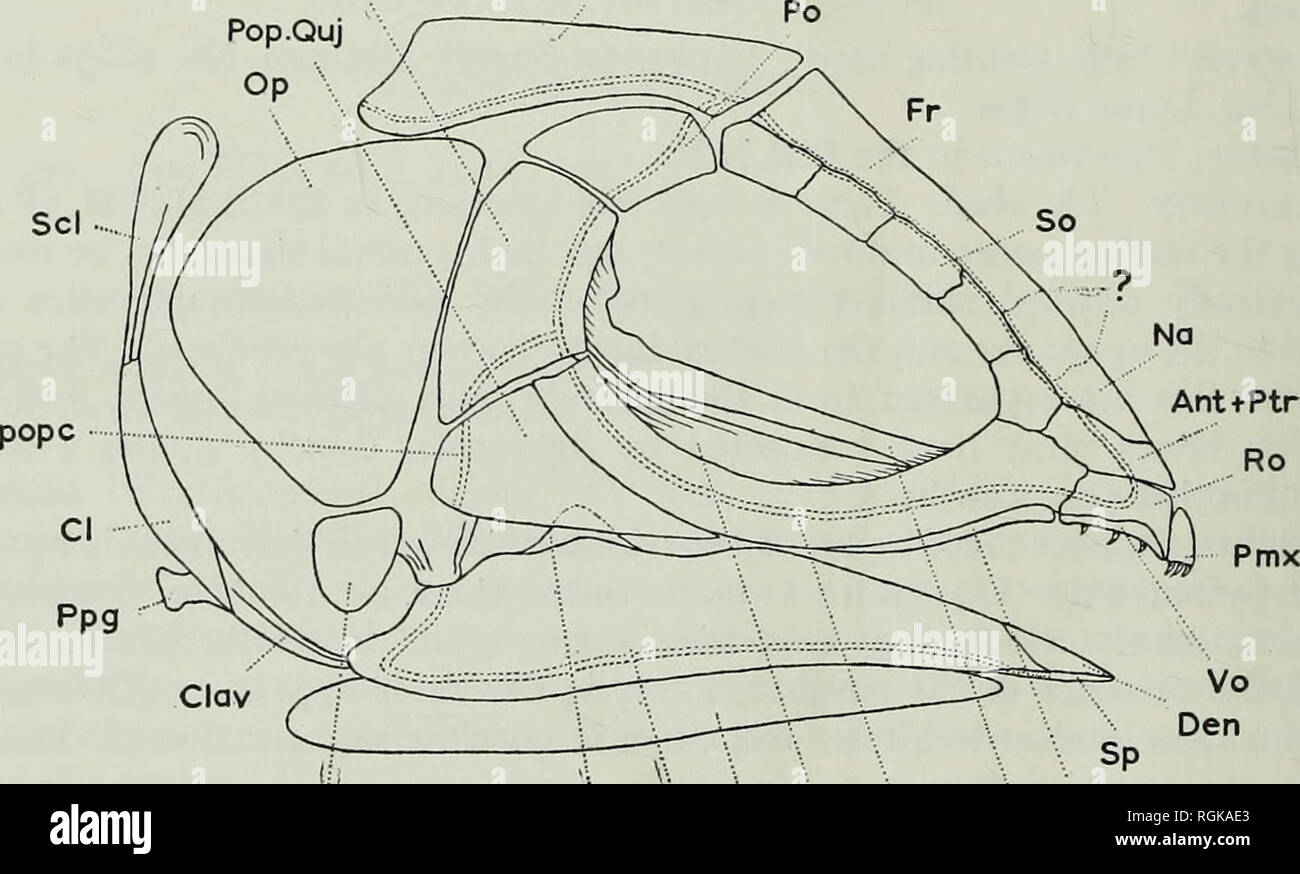 . Bulletin of the British Museum (Natural History), Geology. 328 ...