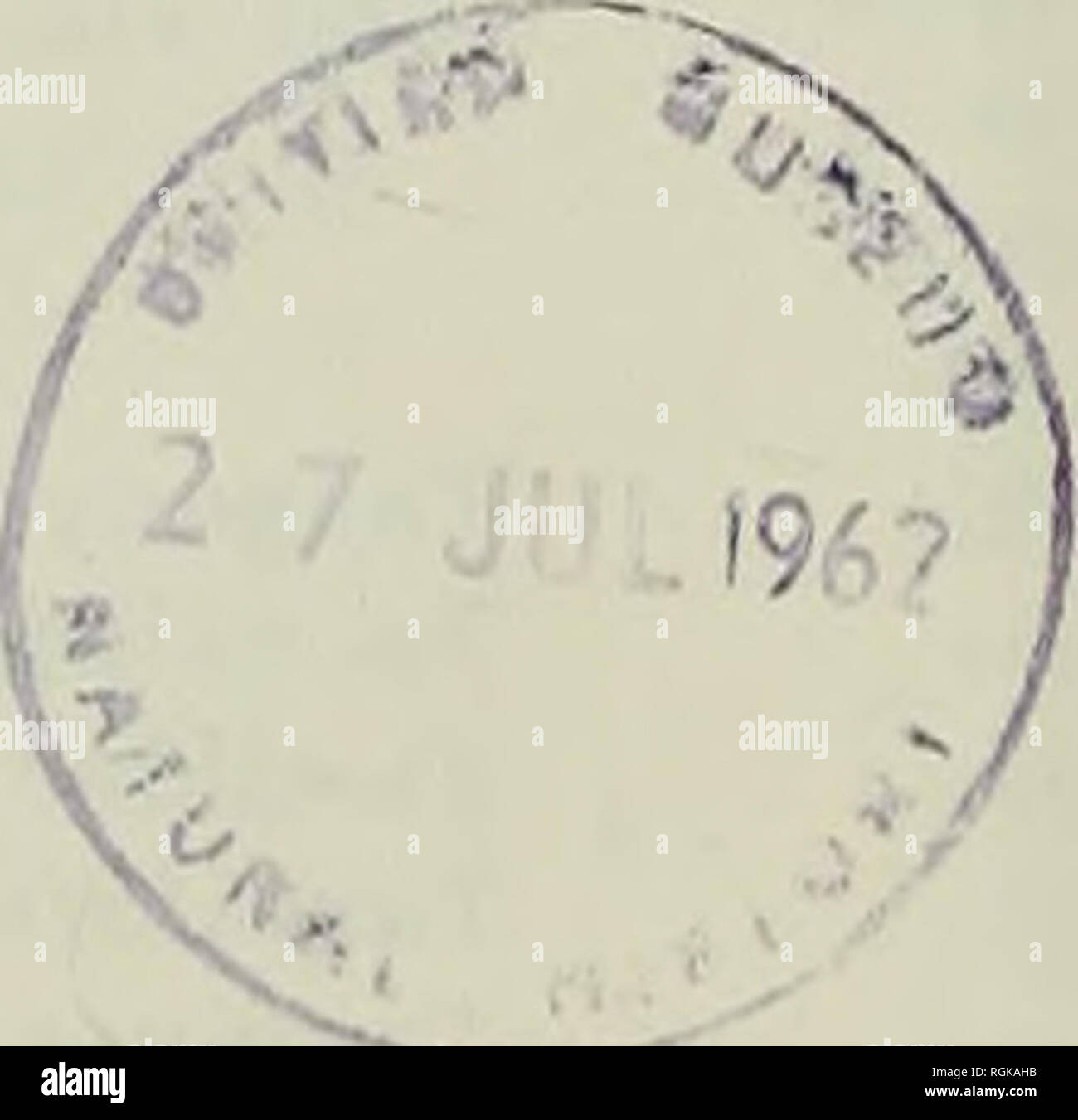 Tetrastigma Sp High Resolution Stock Photography and Images - Alamy