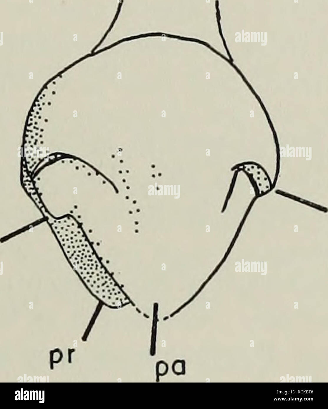 . Bulletin of the British Museum (Natural History), Geology. past me ...