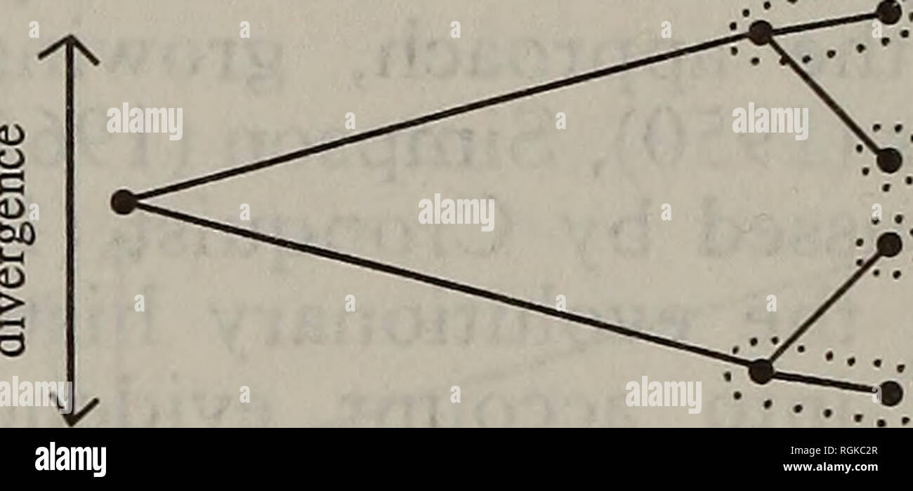 Polyphyletic species High Resolution Stock Photography and Images - Alamy