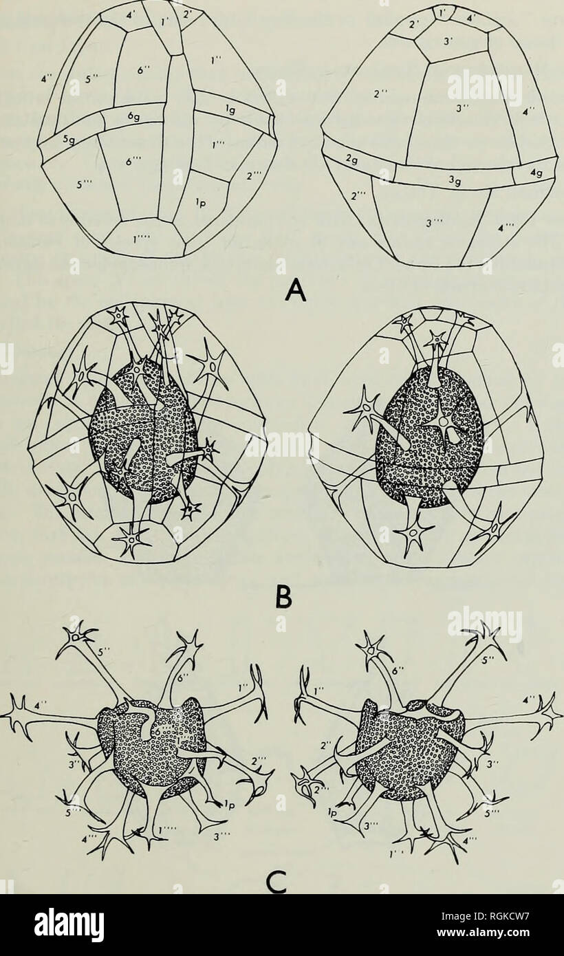 . Bulletin of the British Museum (Natural History), Geology. MESOZOIC ...