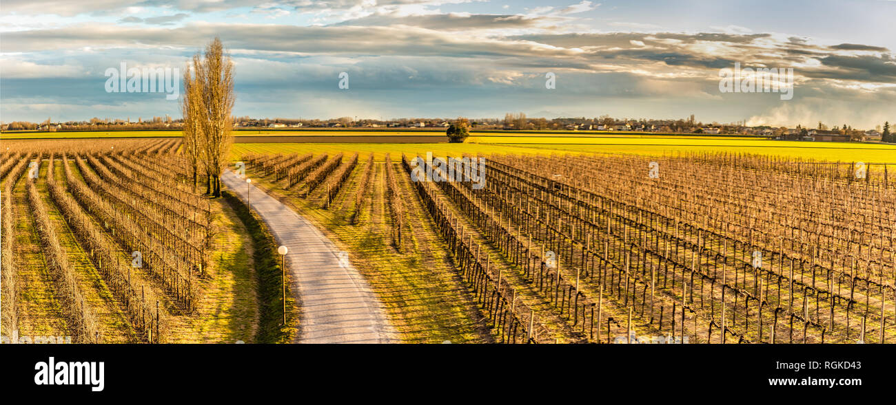 bending road in Italian countryside Stock Photo - Alamy