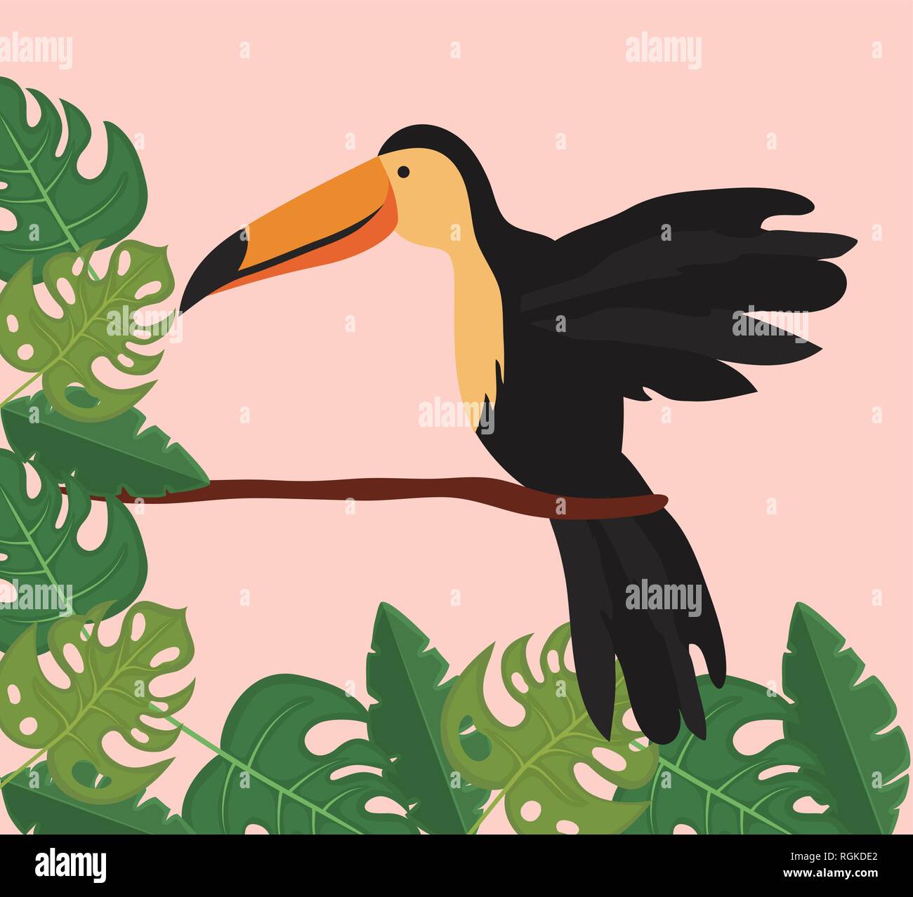 brazilian toucan traditional bird vector illustration design Stock ...