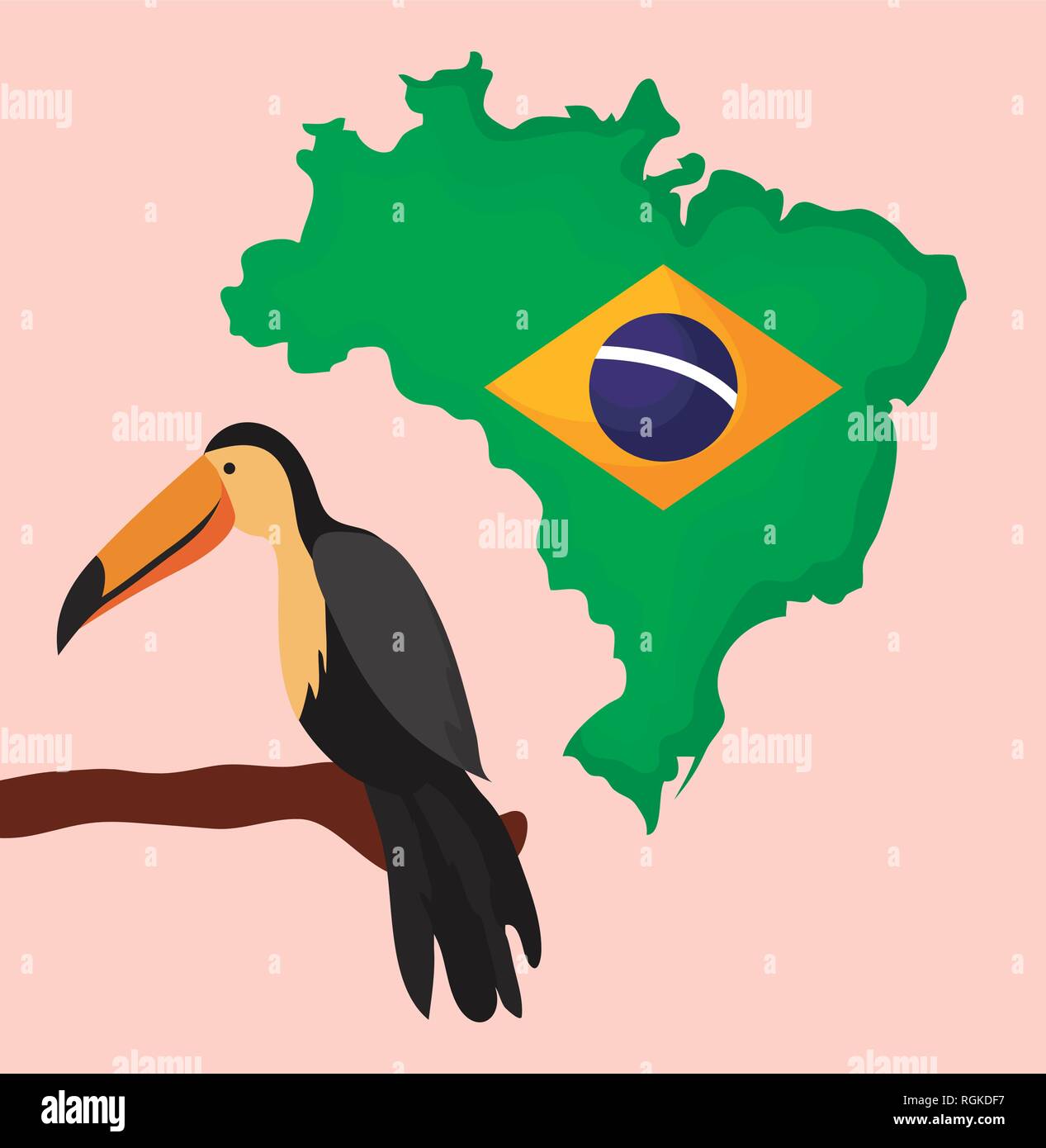 brazilian toucan traditional bird vector illustration design Stock ...