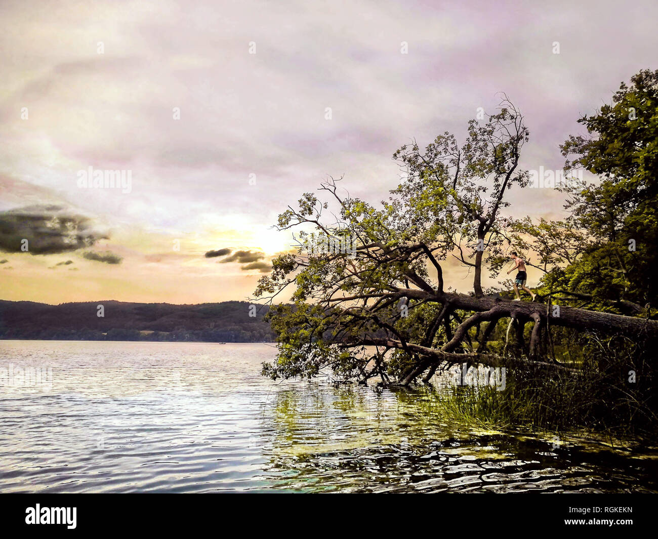 Idyllic view of kid standing on a fallen tree jumping on the water ...