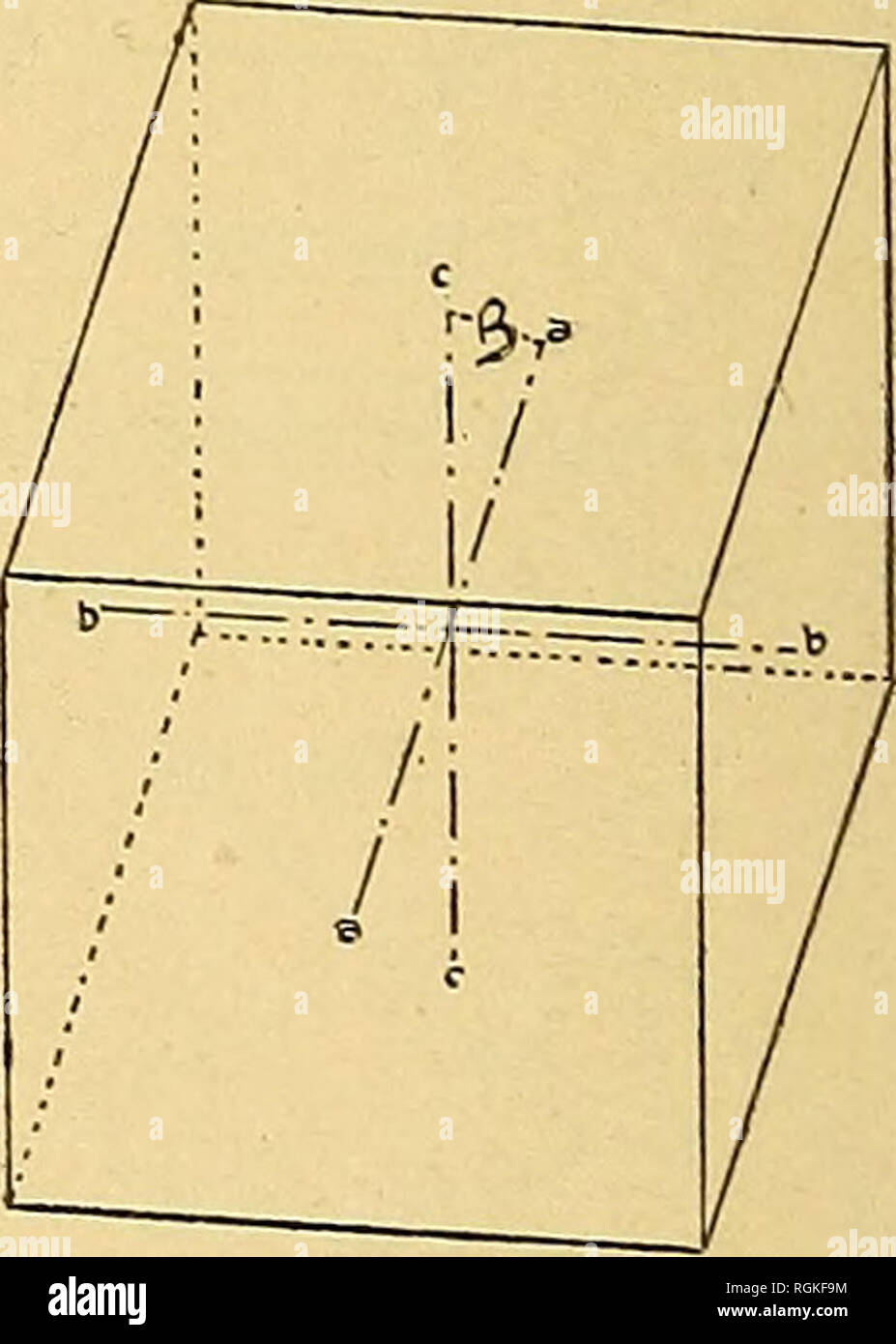 . Bulletin - New York State Museum. Science. Fig. 135 referred to ...
