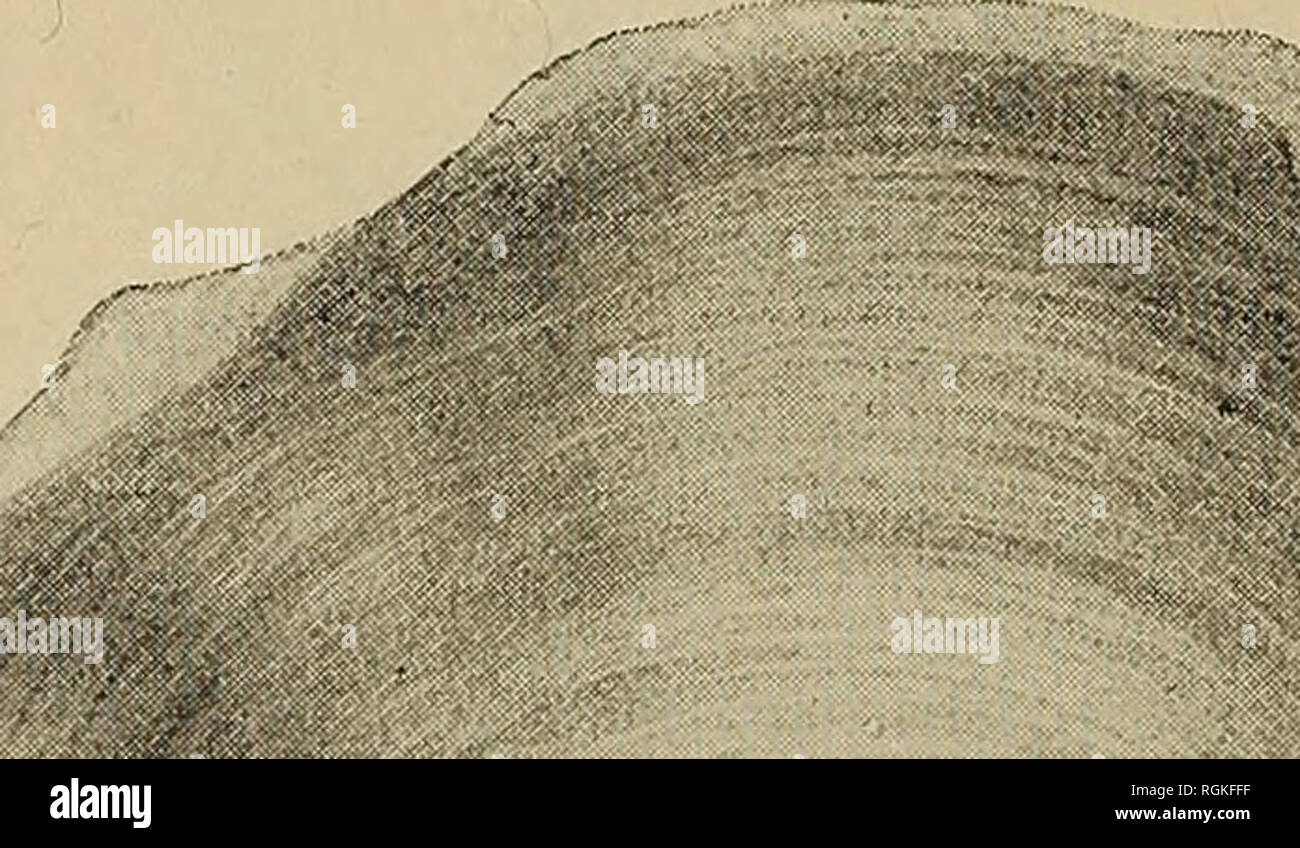 Circular concéntrica hi-res stock photography and images - Alamy