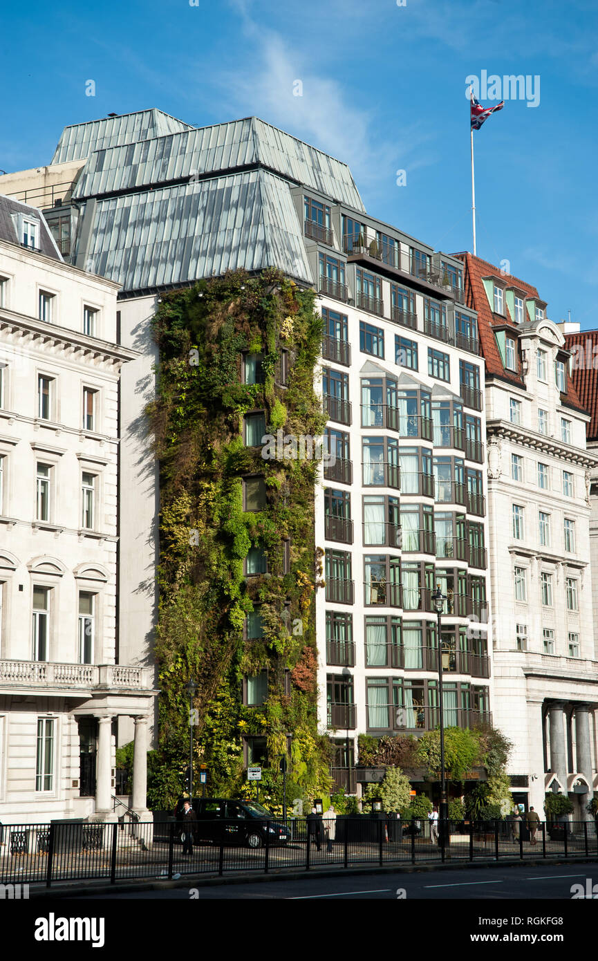 London, Vertical Garden Stock Photo - Alamy
