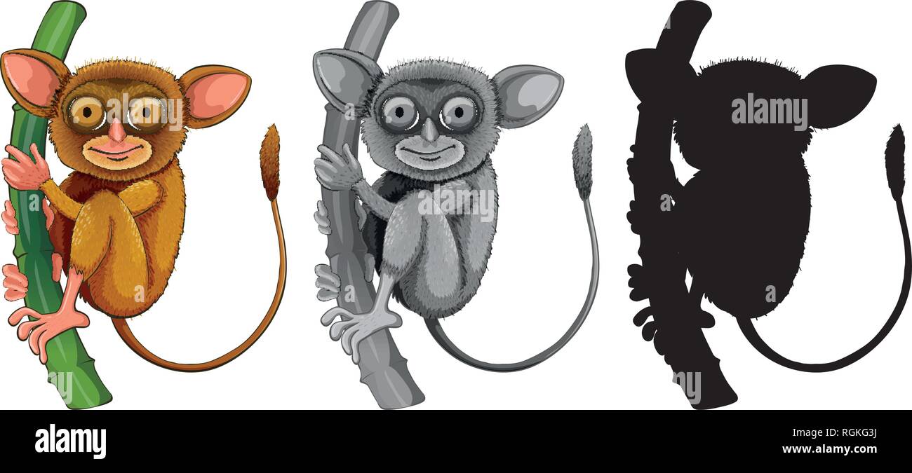 Set if tarsier character illustration Stock Vector Image & Art - Alamy
