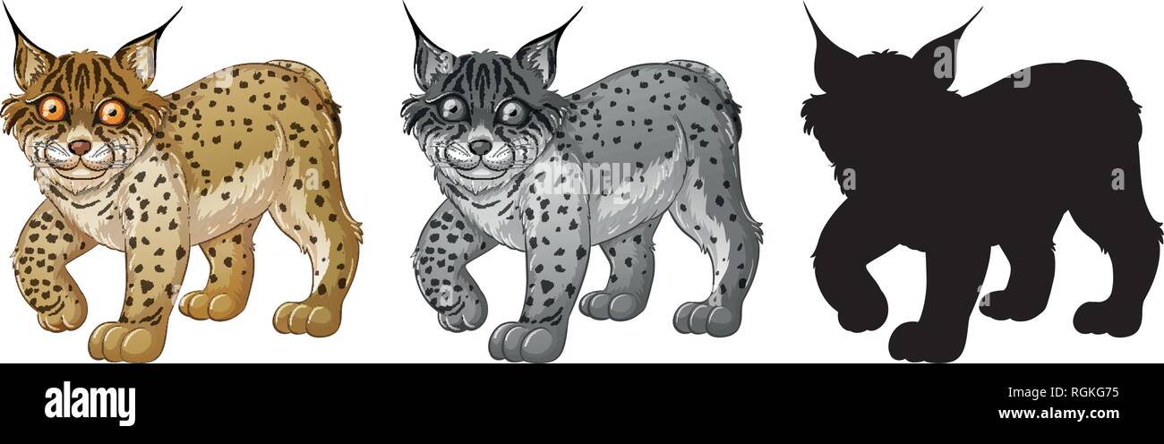 Set of lynx character illustration Stock Vector Image & Art - Alamy