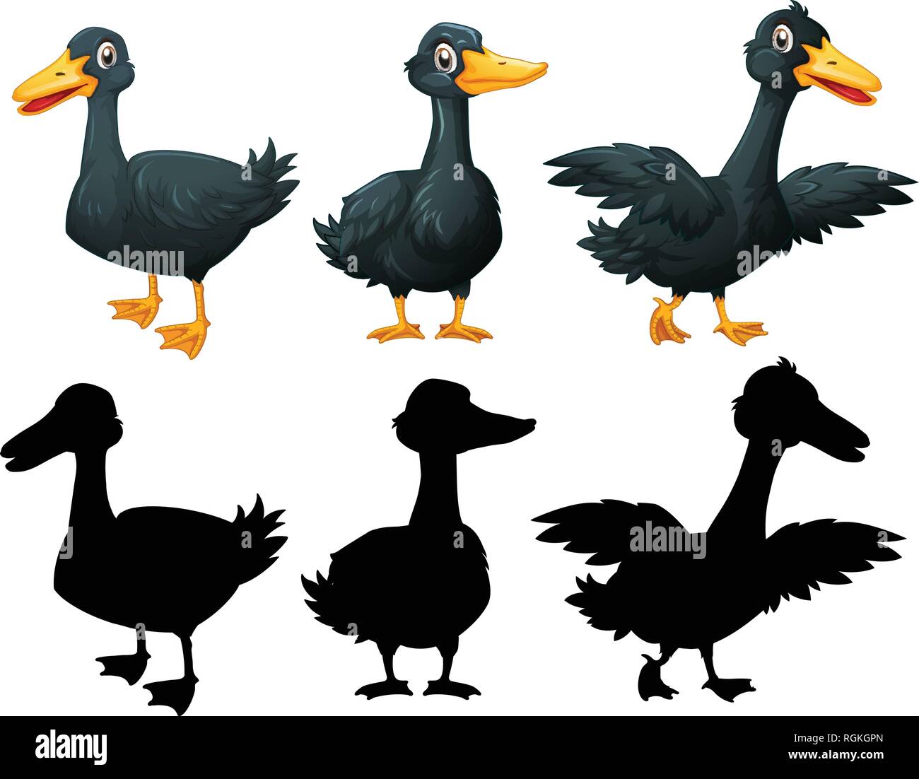 Set of black duck on white backgroung illustration Stock Vector Image ...